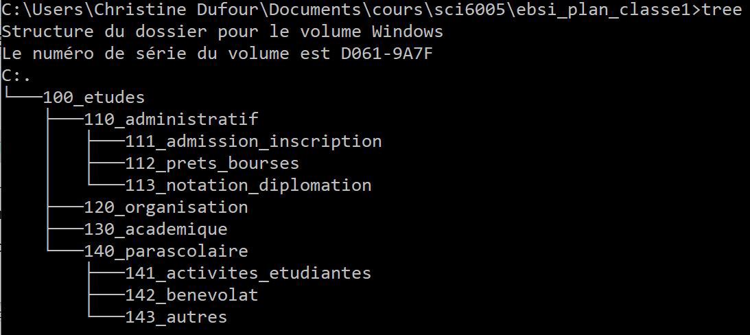 Organisation des fichiers [SCI6005 Hiver 2025]